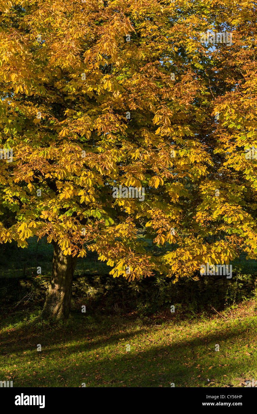 Lockton yorkshire hi-res stock photography and images - Alamy