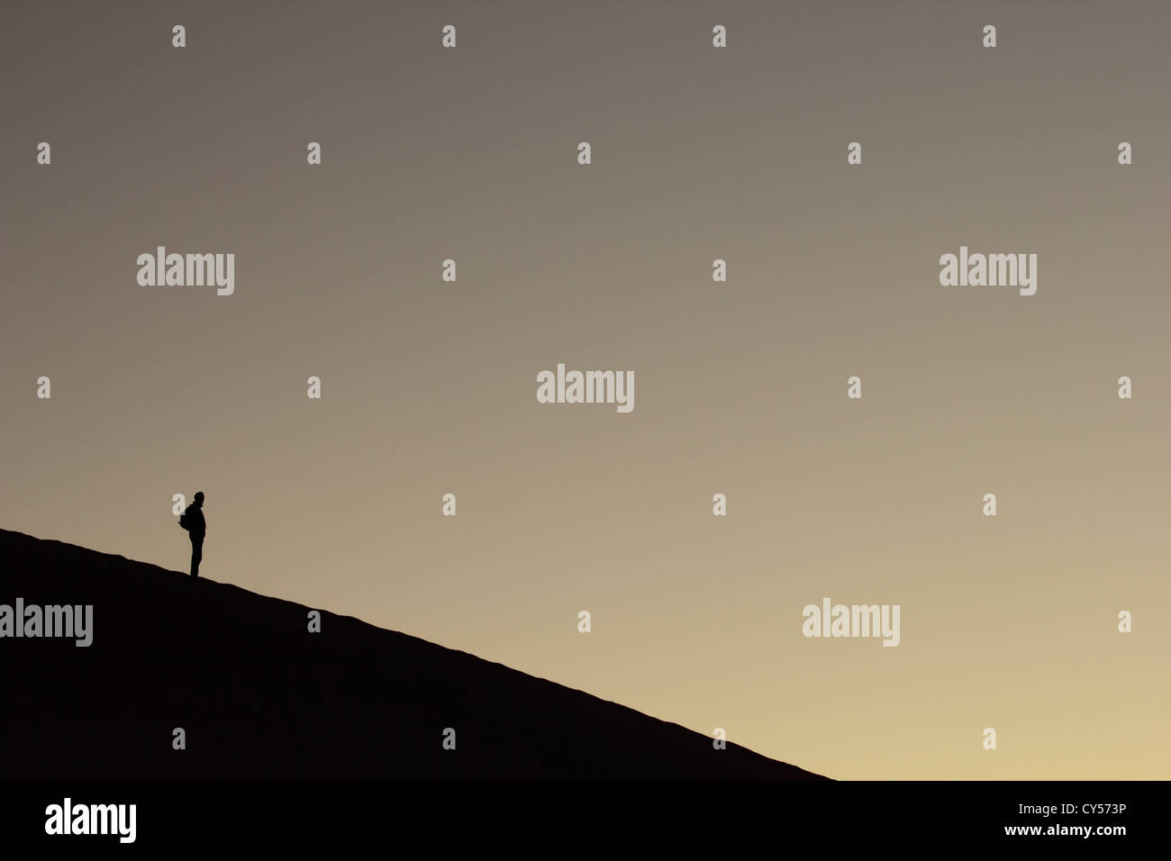 Lone tourist on a sand dune in the Sahara desert Stock Photo - Alamy