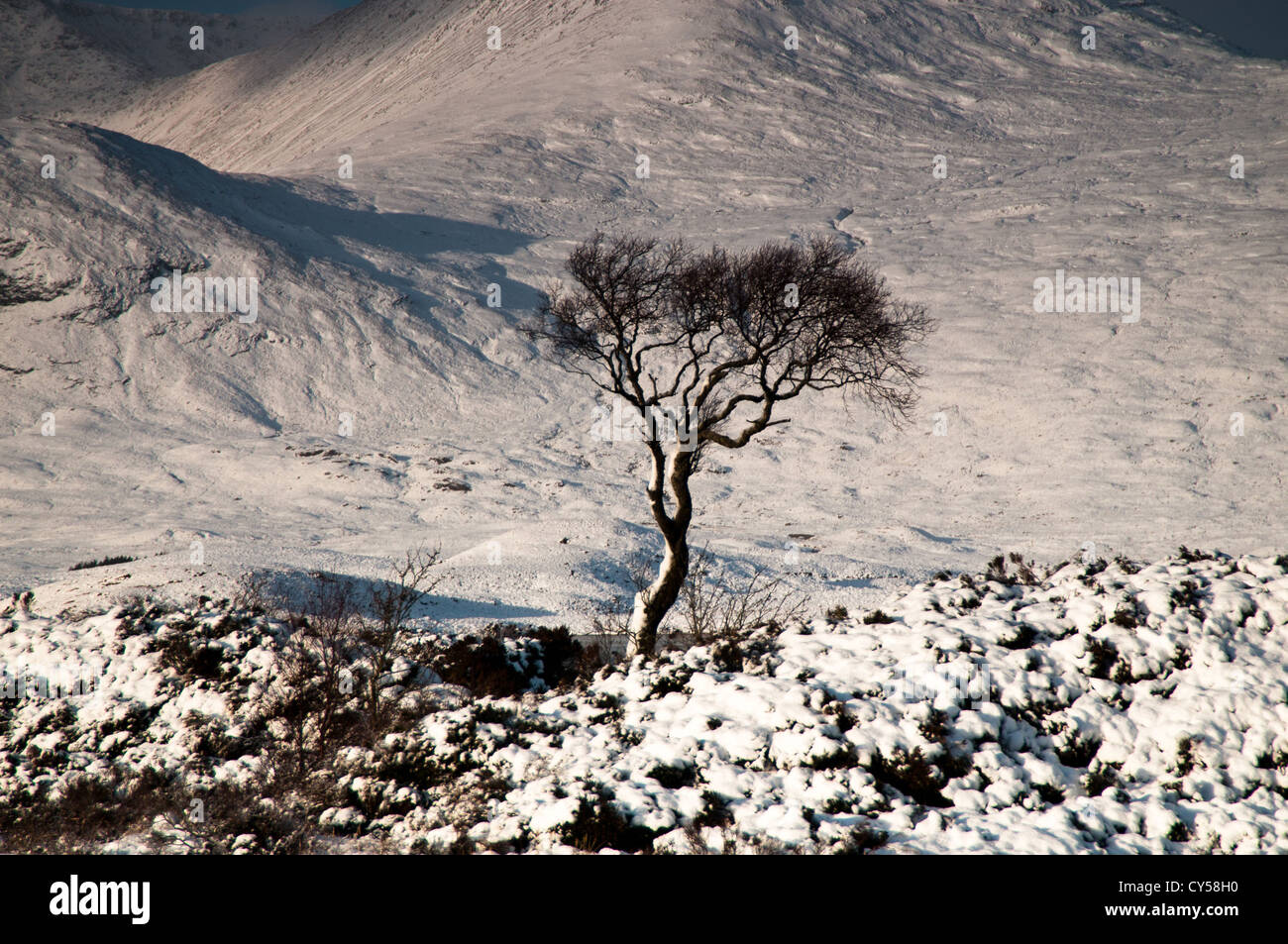 Black Mountains, Rannoch Moor, Scotland Stock Photo - Alamy