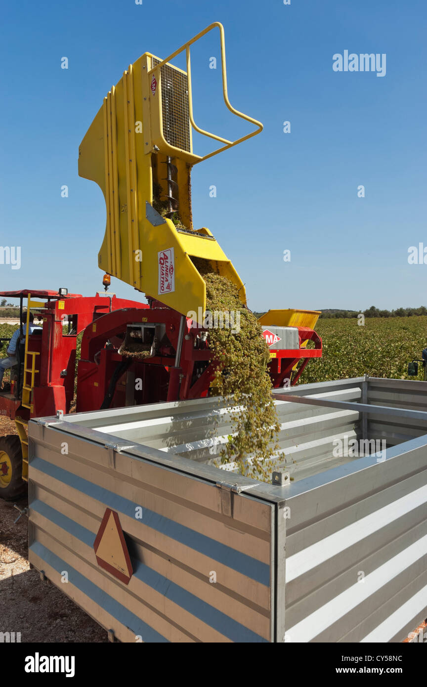 Harvest with a grape harvester hi-res stock photography and images - Alamy