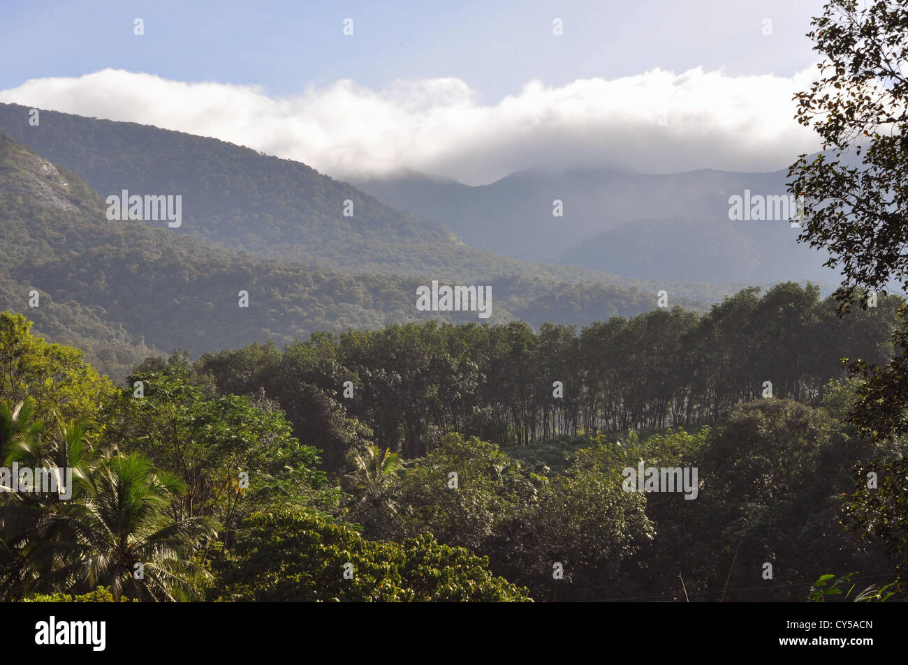 Hills trees and clouds hi-res stock photography and images - Alamy