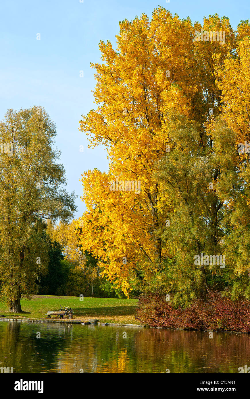 Rheinaue, a leisure park in autumn on the banks of the Rhine in Bonn ...