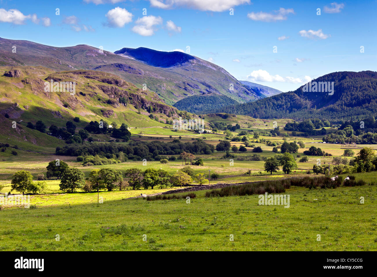Naddle valley hi-res stock photography and images - Alamy