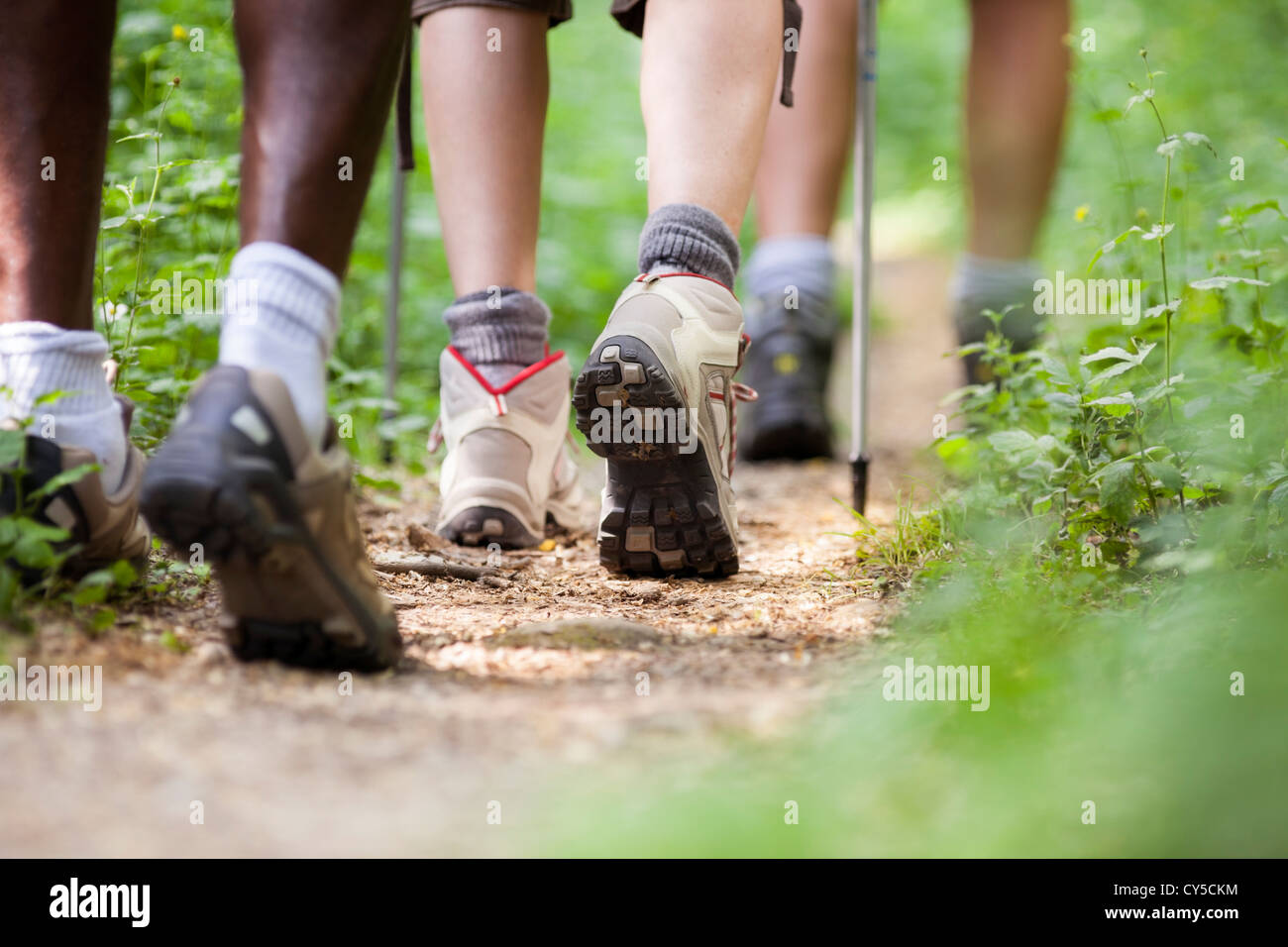 group of man and women during hiking excursion in woods, walking in a ...