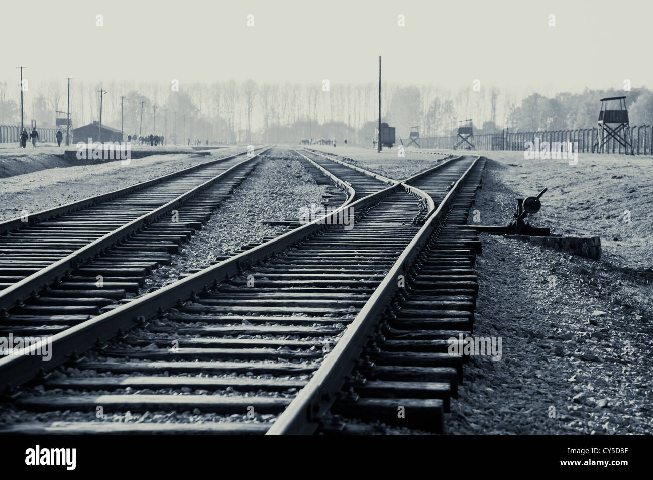 Railway tracks at Auschwitz II Birkenau concentration camp, Poland ...