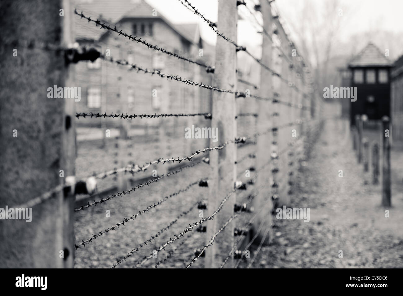 Barbed wire fence, Auschwitz I concentration camp, Poland Stock Photo ...
