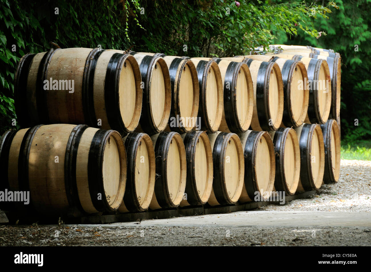 Wine barrels burgundy france hi-res stock photography and images - Alamy
