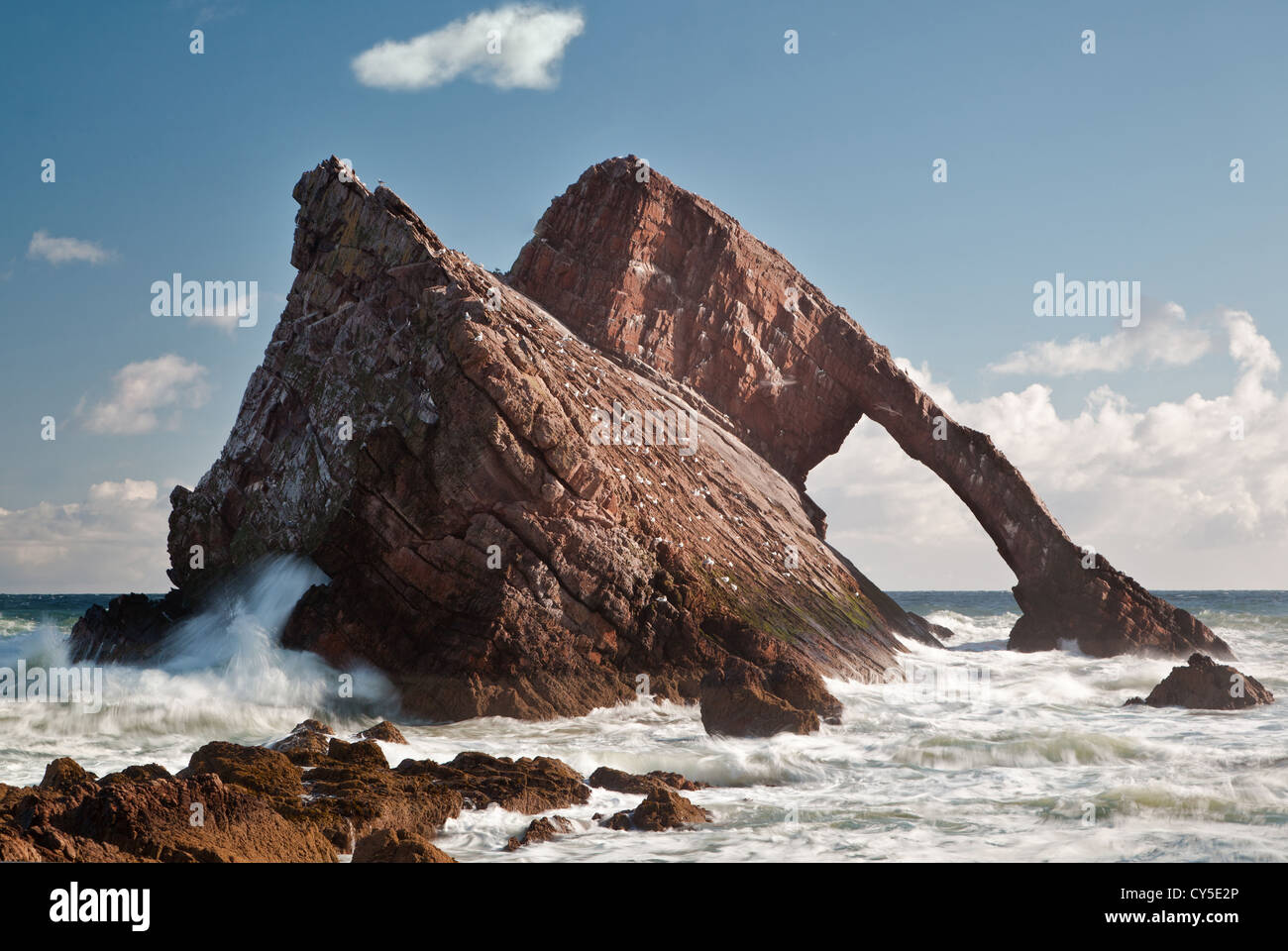 Bow Fiddle in the sun Stock Photo - Alamy