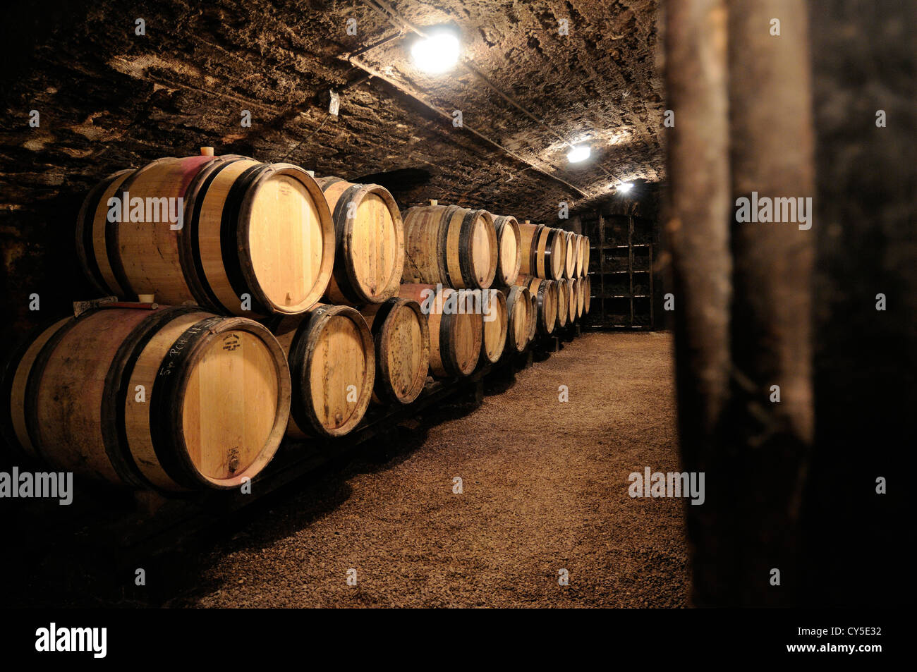 Wine barrels in a cellar, Cote d'Or, Burgundy, France, Europe Stock ...