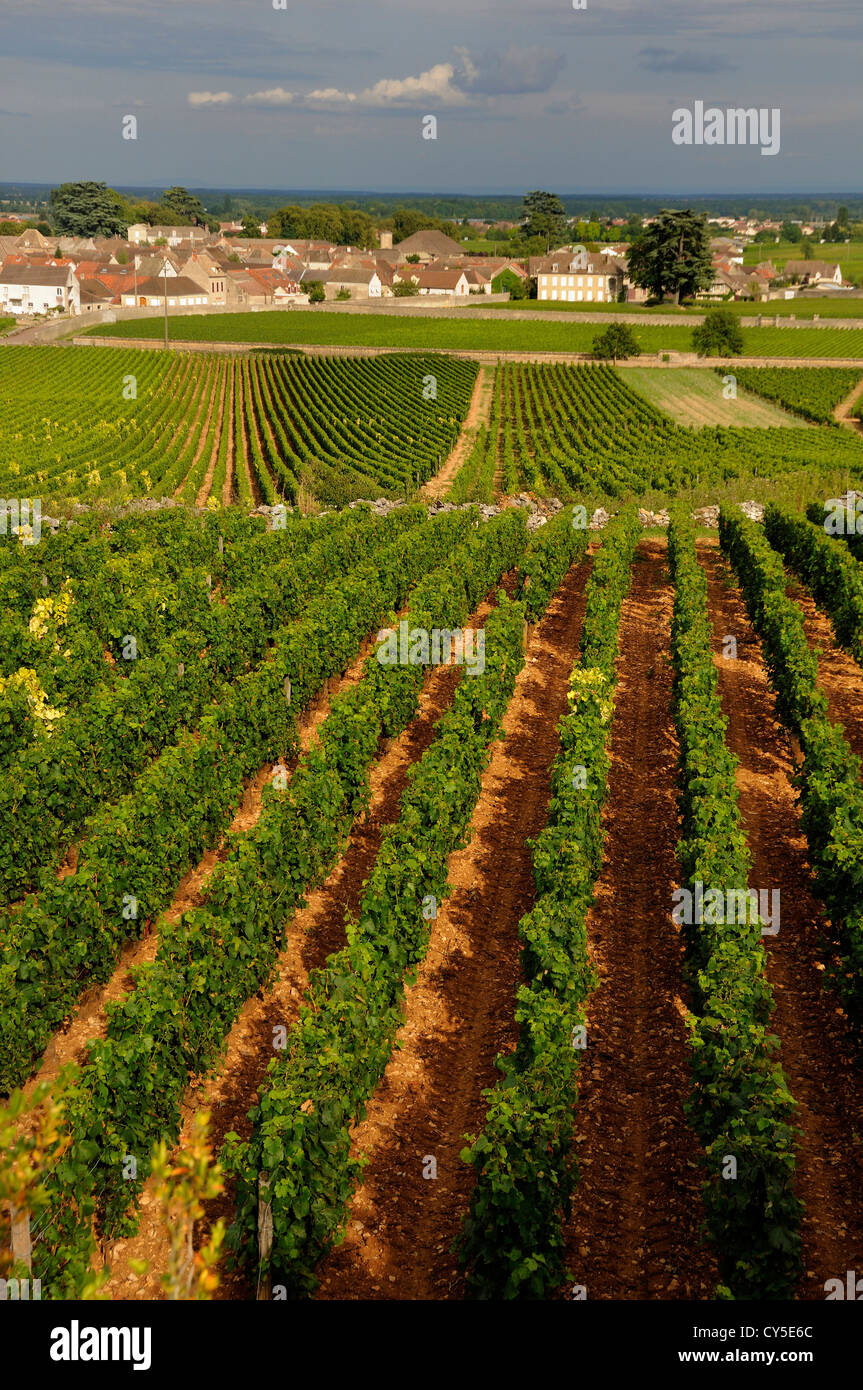 Meursault village hi-res stock photography and images - Alamy