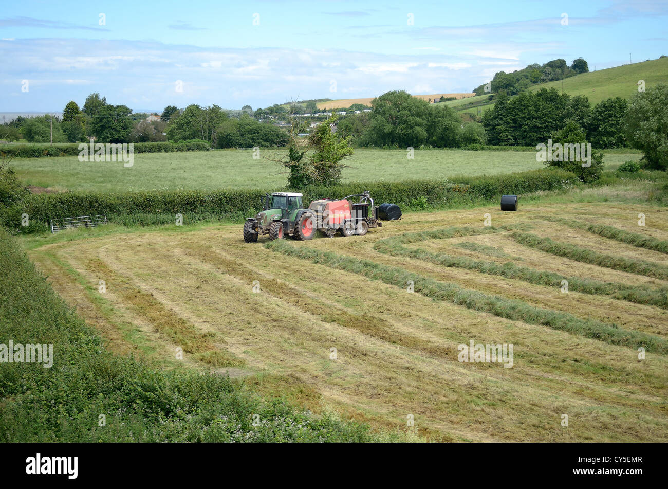 Crops for silage hi-res stock photography and images - Alamy
