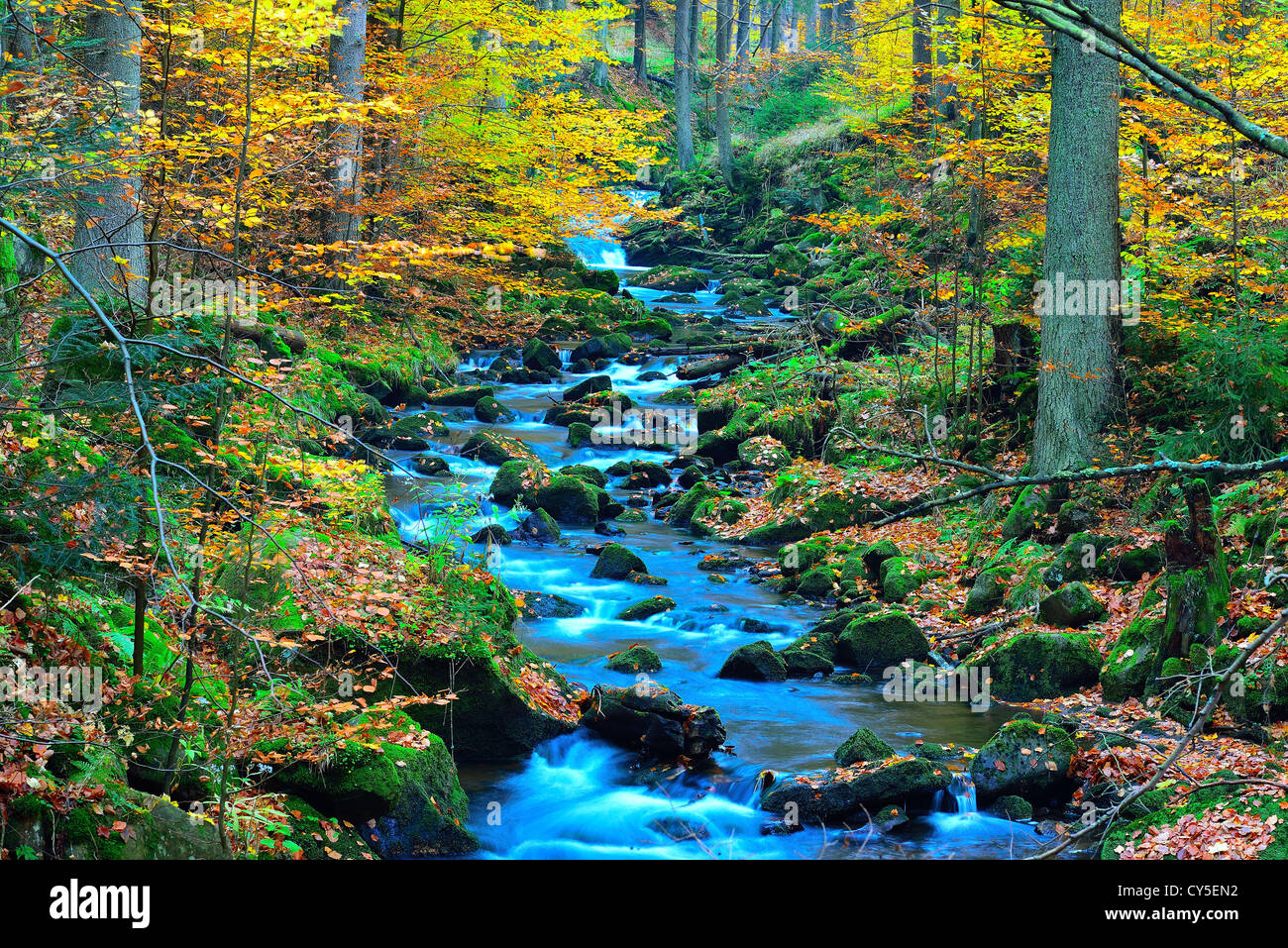 River Bystrzyca flowing through the colorful autumn forest near ...