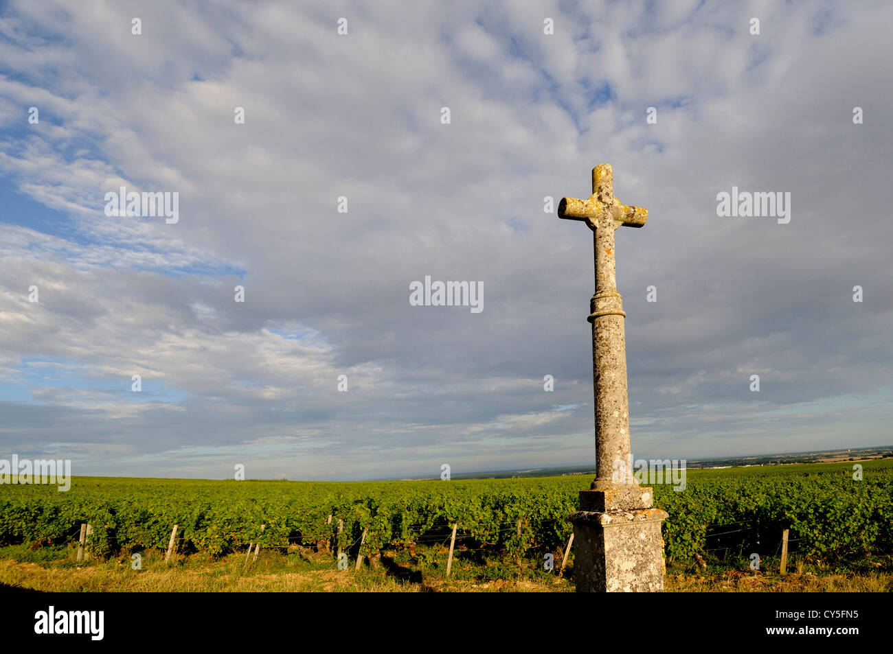 Burgundy cross hi-res stock photography and images - Alamy