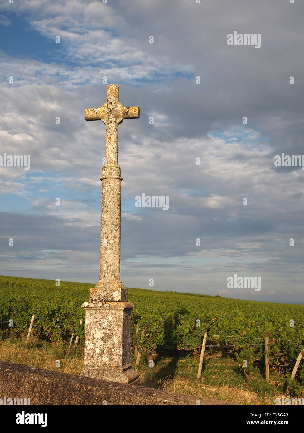 Cross and vineyard of Burgundy. Bourgogne Franche Comte. France Stock ...
