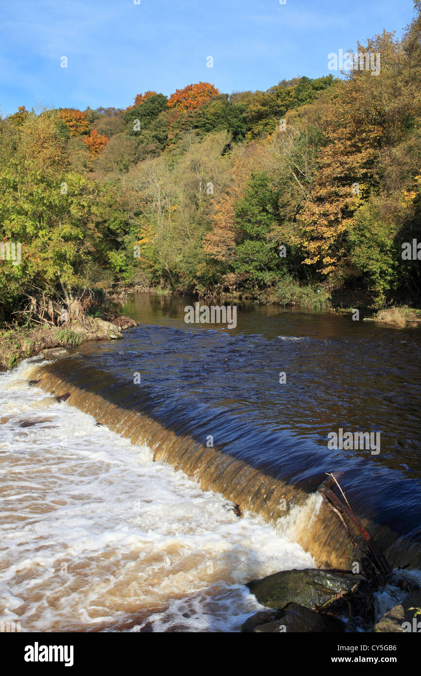 Derwent Valley Country Park north east England UK Stock Photo - Alamy