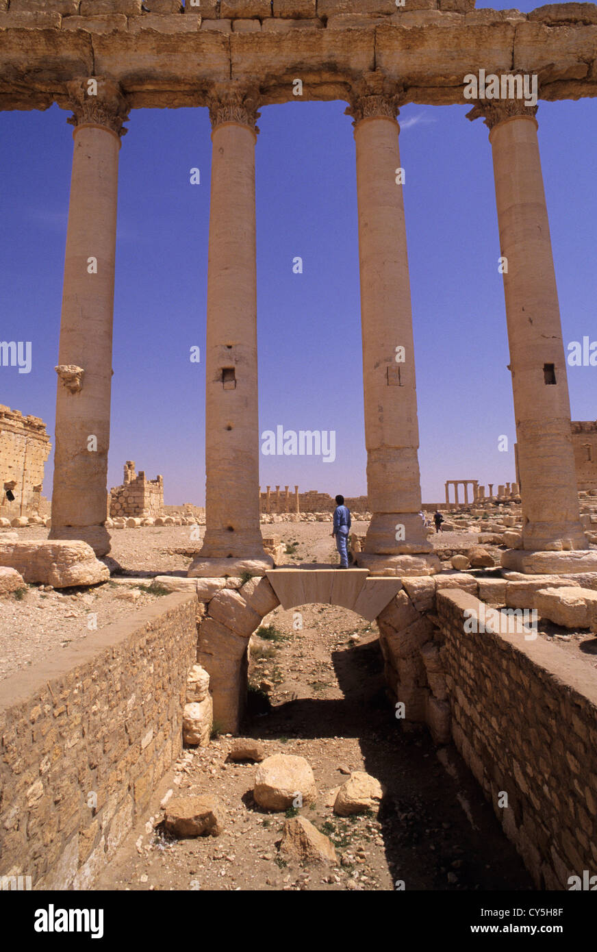 Palmira, siria hi-res stock photography and images - Alamy