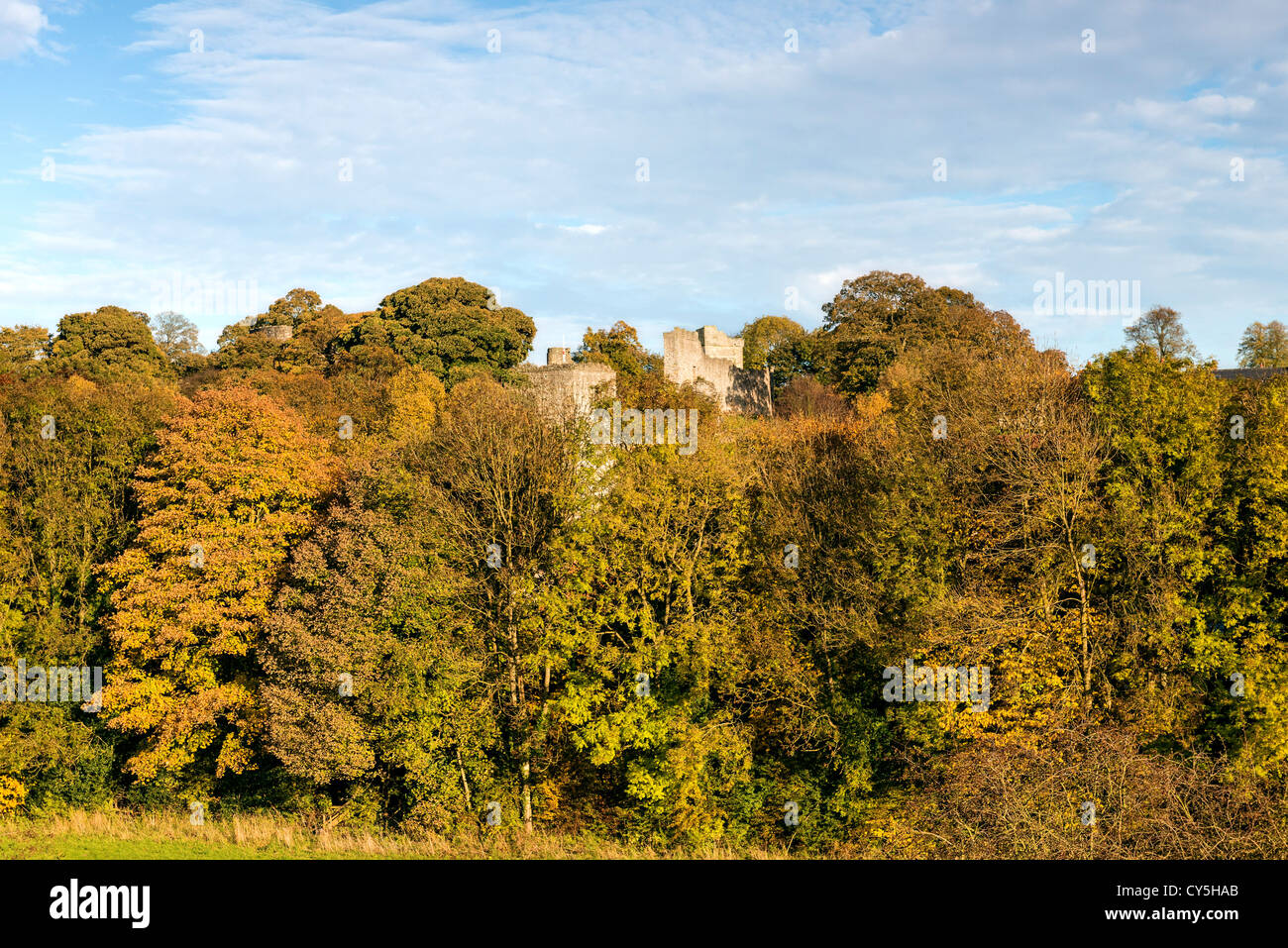 Pickering castle surrounded by trees Stock Photo - Alamy