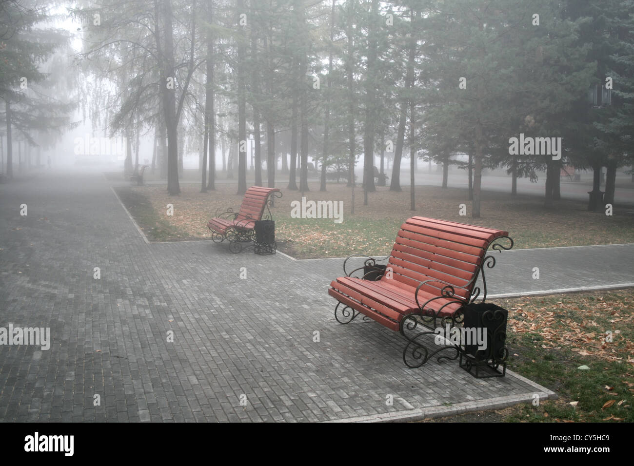 Foggy morning city park hi-res stock photography and images - Alamy