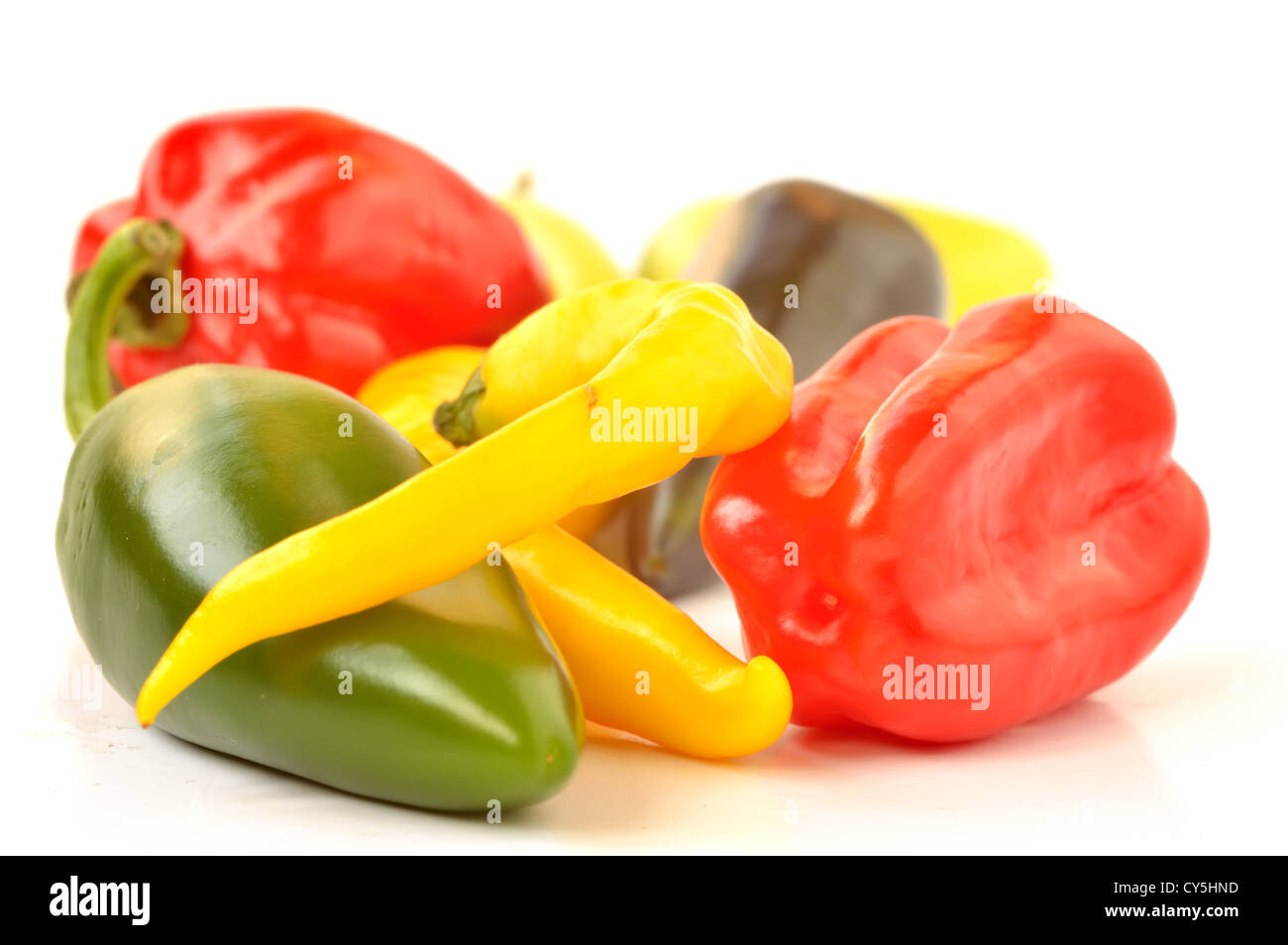 Multi-colored peppers on a white background, close-up Stock Photo - Alamy