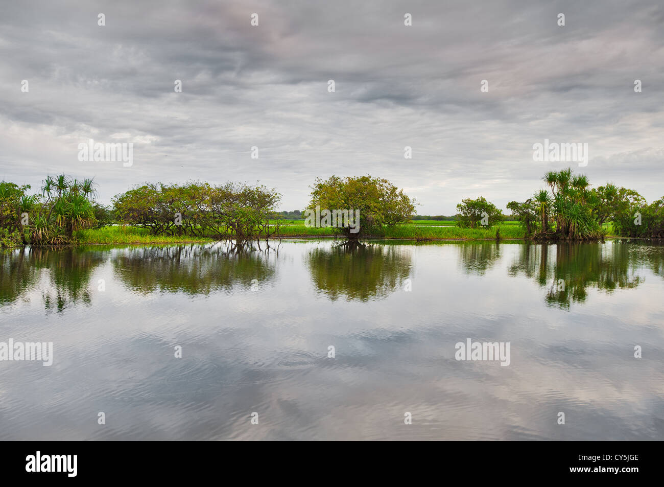 Yellow water tour hi-res stock photography and images - Alamy