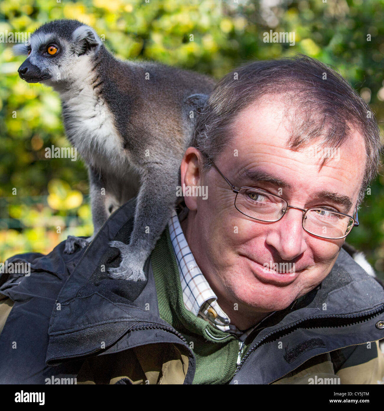 Lemur on shoulder hi-res stock photography and images - Alamy