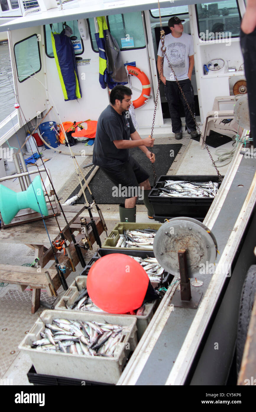 Cheticamp nova scotia hi-res stock photography and images - Alamy