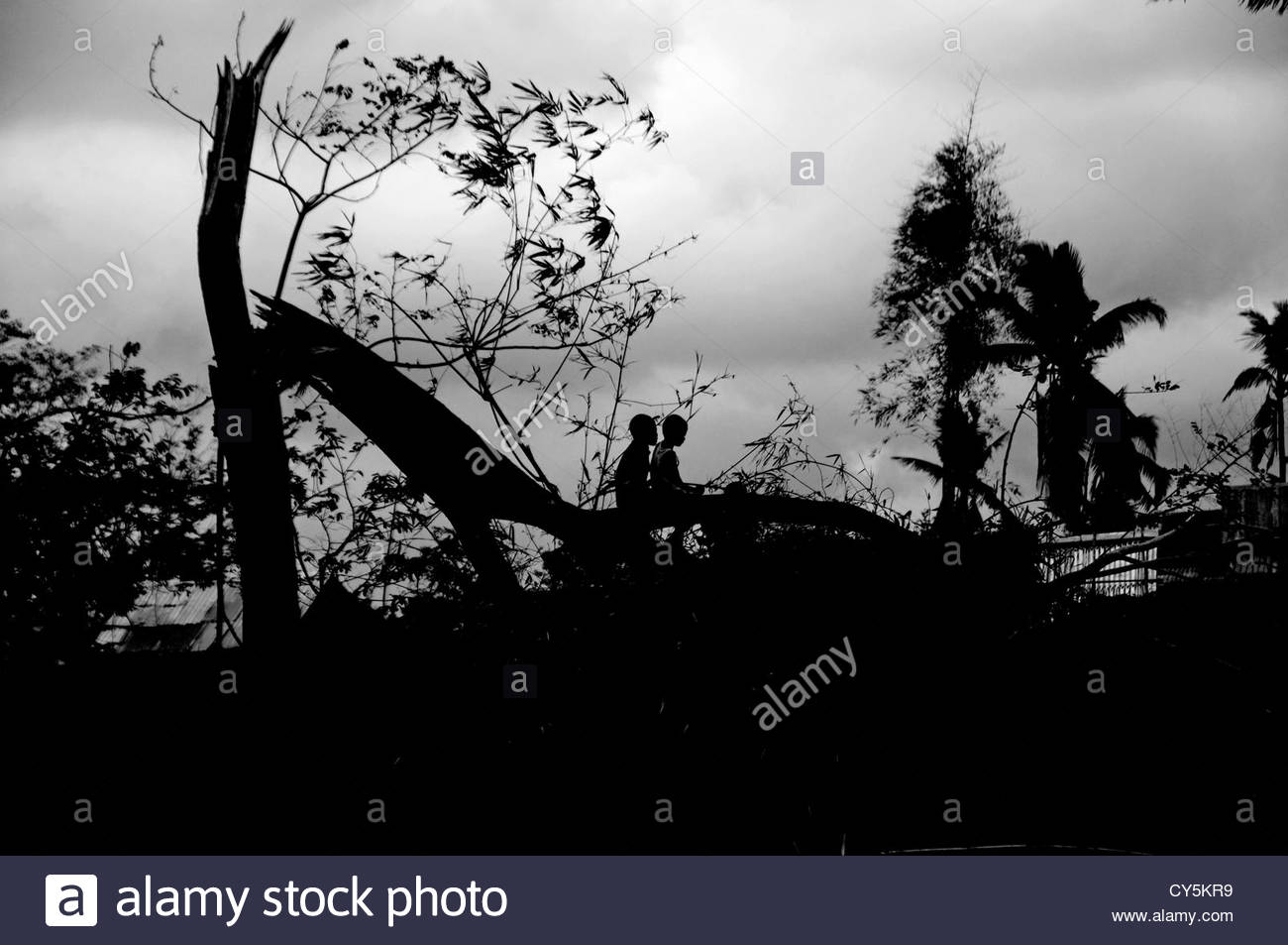 Natural Disaster Black and White Stock Photos & Images - Alamy