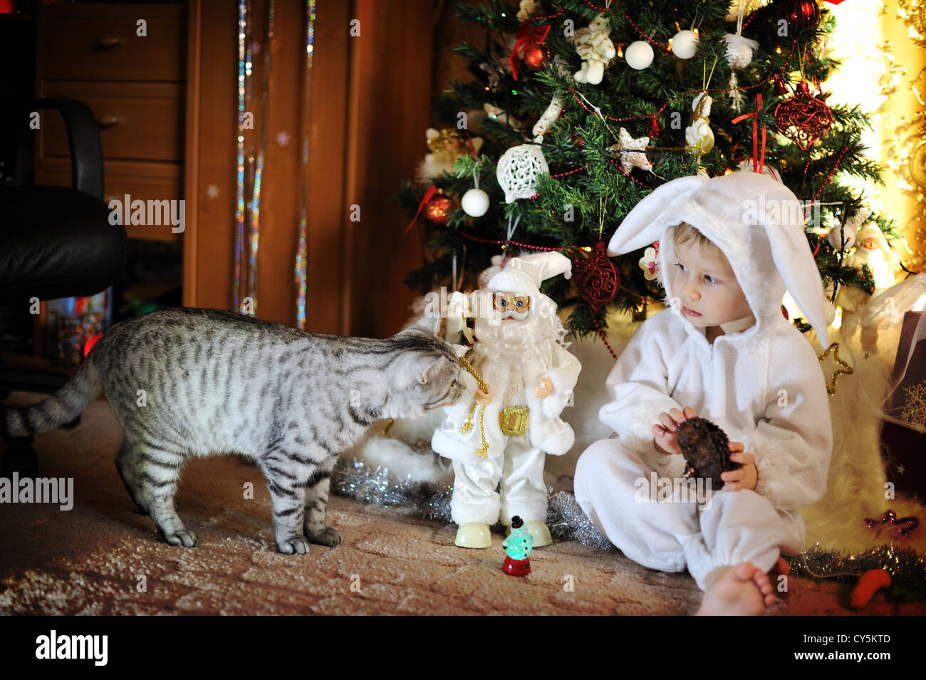 Christmas tree node boy dressed as a white rabbit with a favorite cat ...