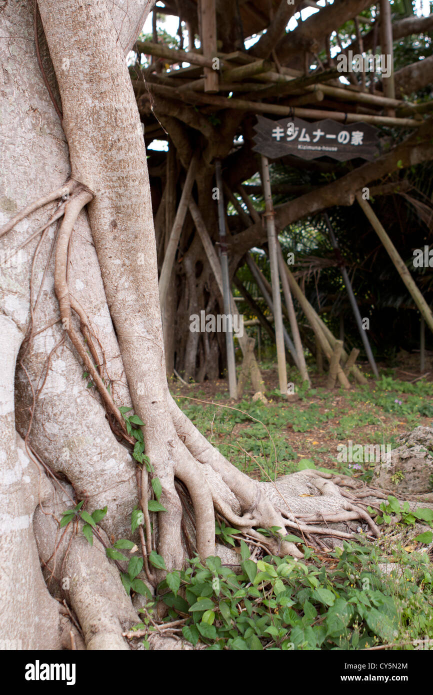 A Kijimuna tree house. The Kijimuna are traditional Okinawan wood ...