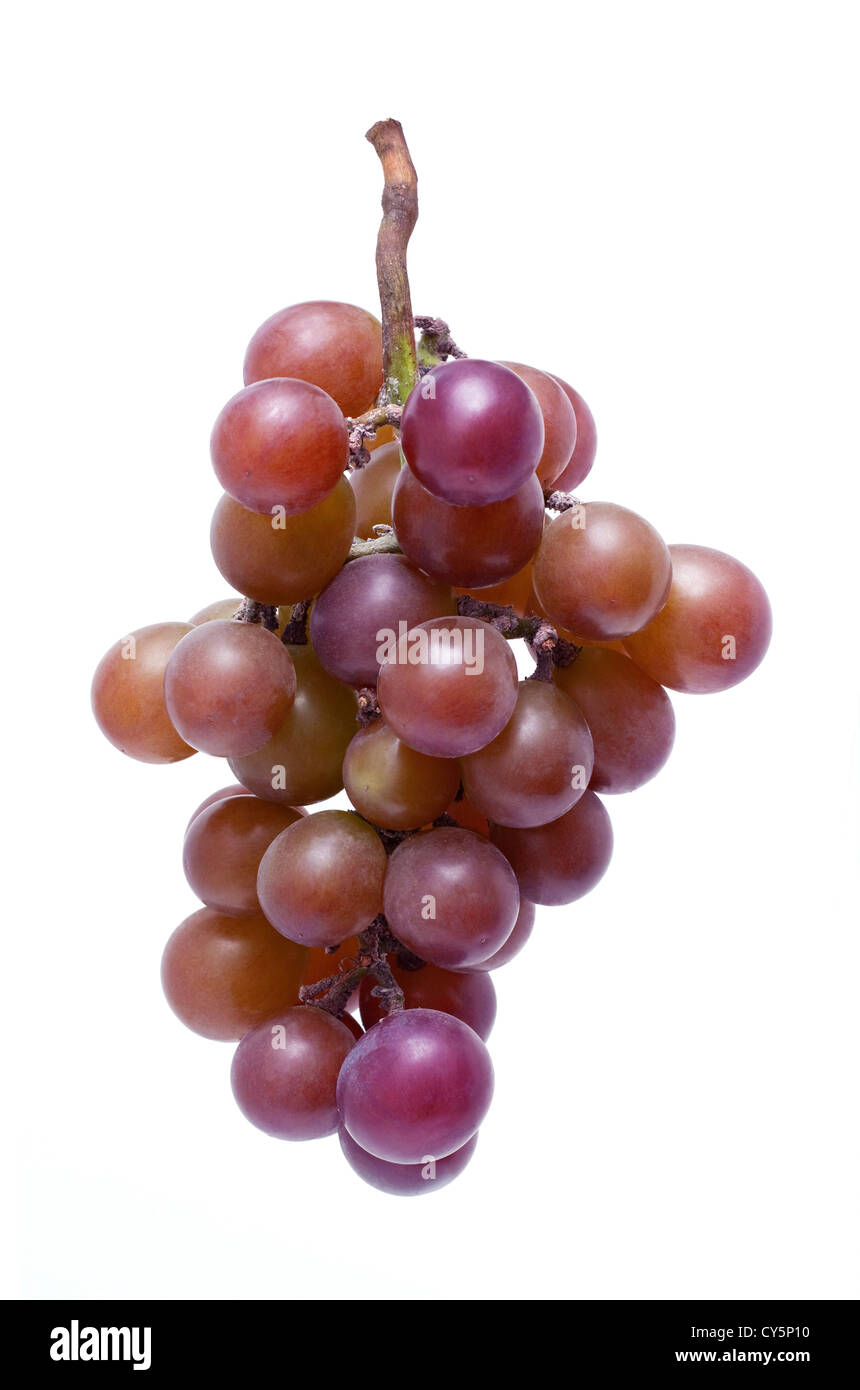 Grapes isolated on white background Stock Photo - Alamy