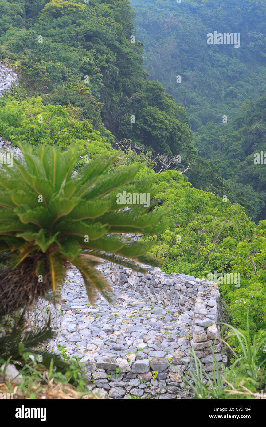Thick stone walls surrounded by thick tropical jungle at Nikijin Gusuku ...