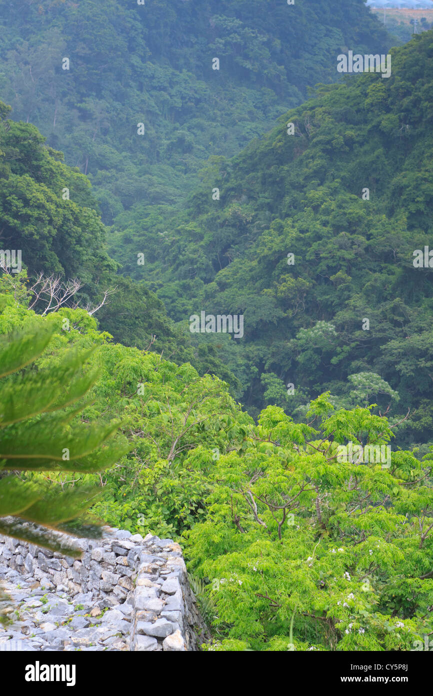 Thick stone walls surrounded by thick tropical jungle at Nikijin Gusuku ...