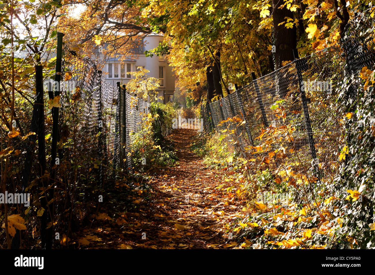 Footpath leading through a residential neighborhood in Berlin, Germany ...