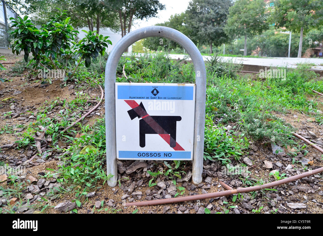 No dogs allowed sign hi-res stock photography and images - Alamy