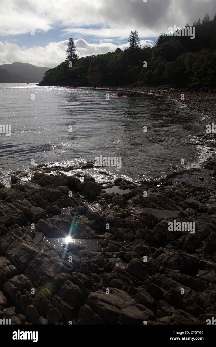 Nam murchan hi-res stock photography and images - Alamy