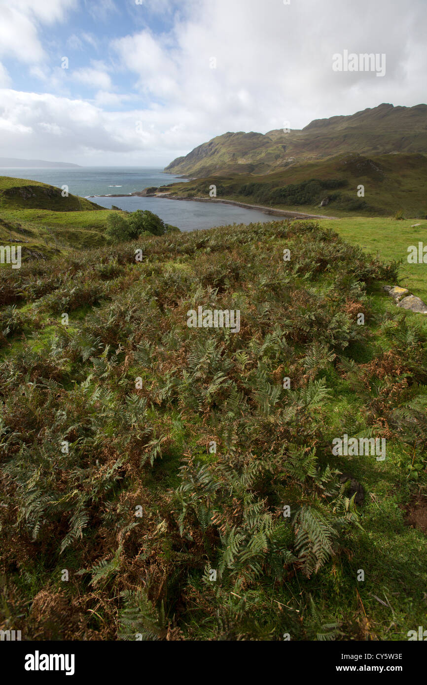 Nam murchan hi-res stock photography and images - Alamy