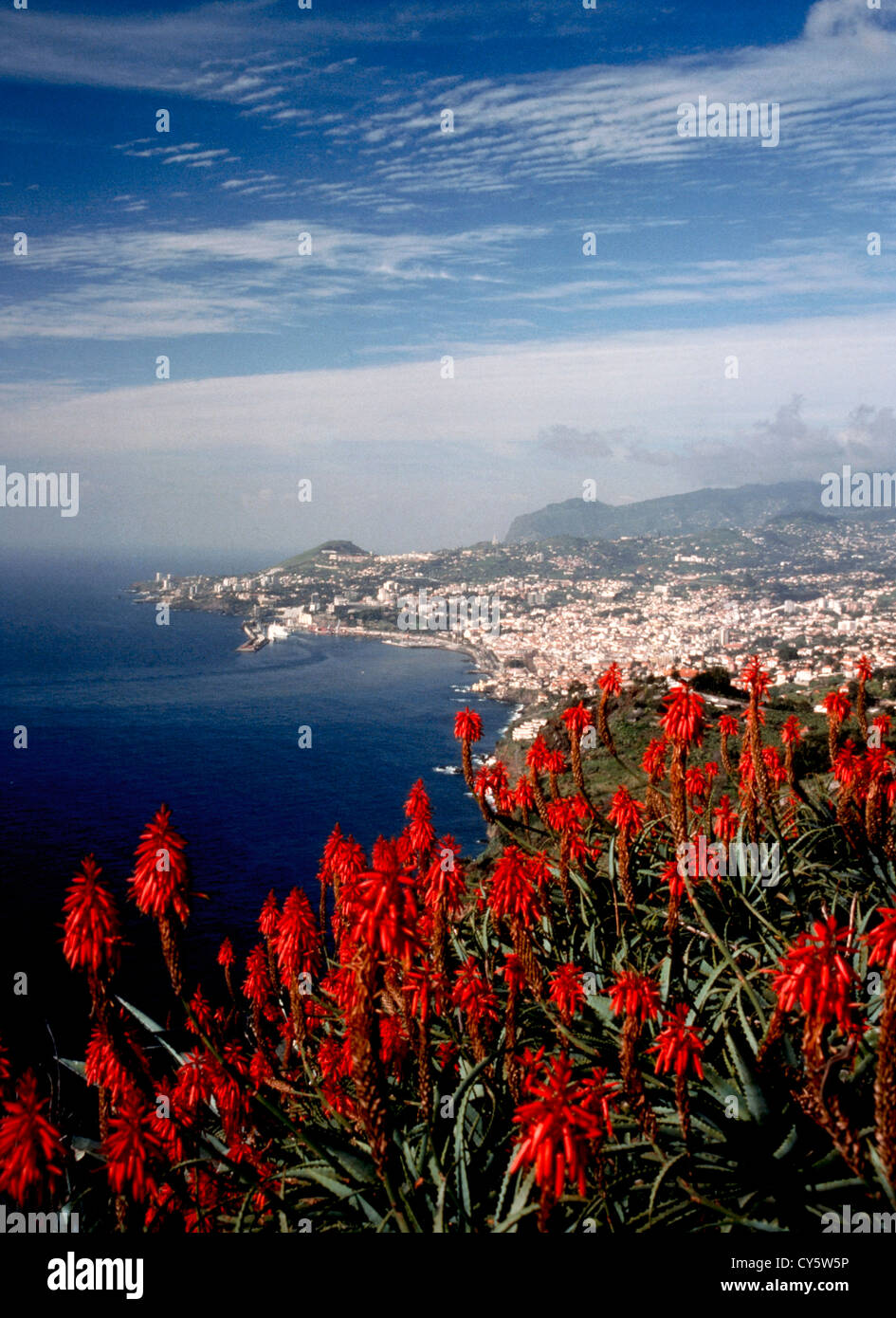Funchal bay hi-res stock photography and images - Alamy