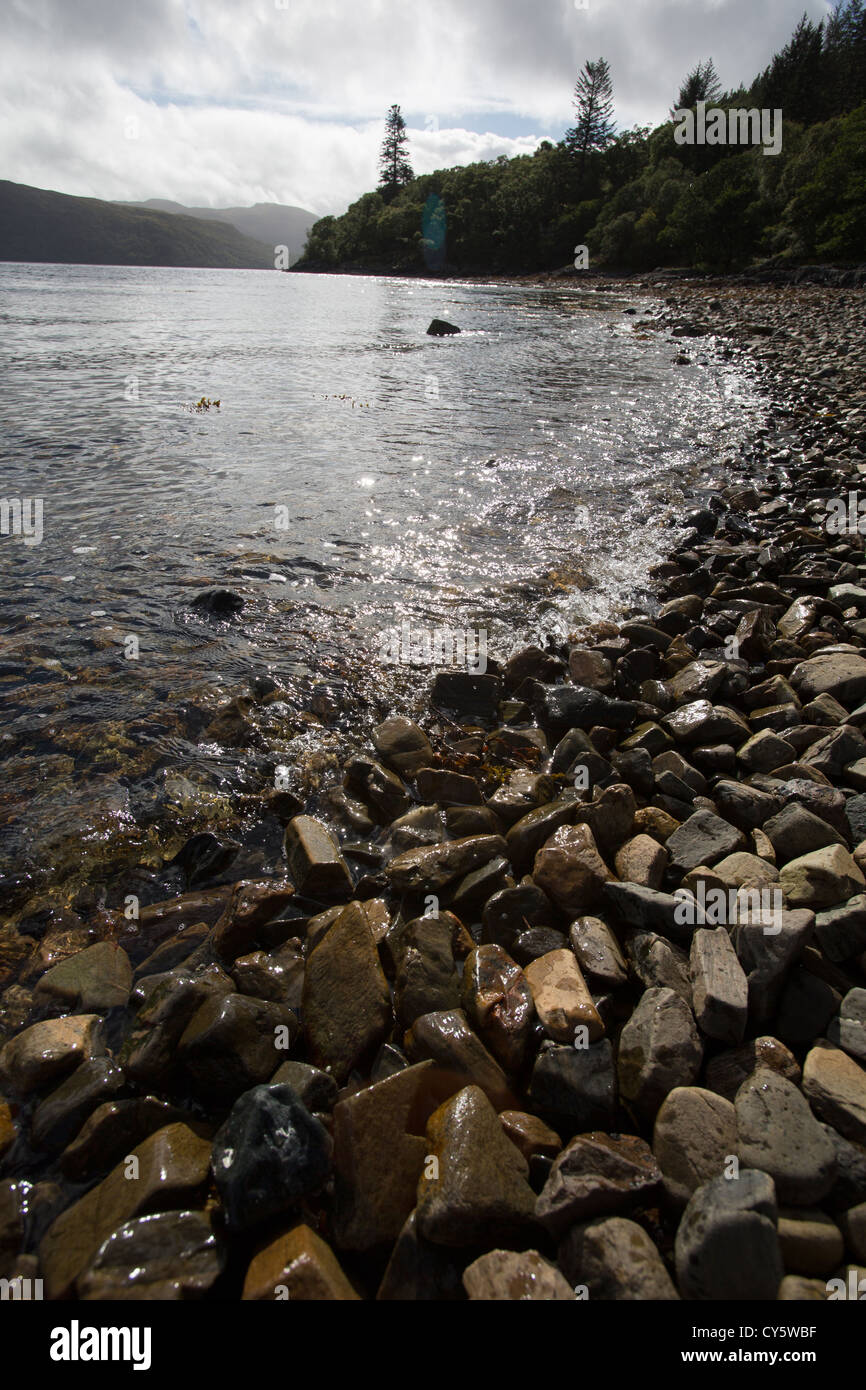 Nam murchan hi-res stock photography and images - Alamy