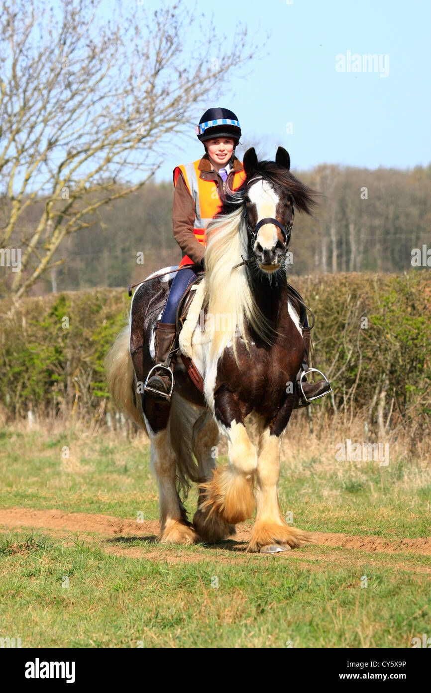 Horse mane animal horsey hi-res stock photography and images - Alamy