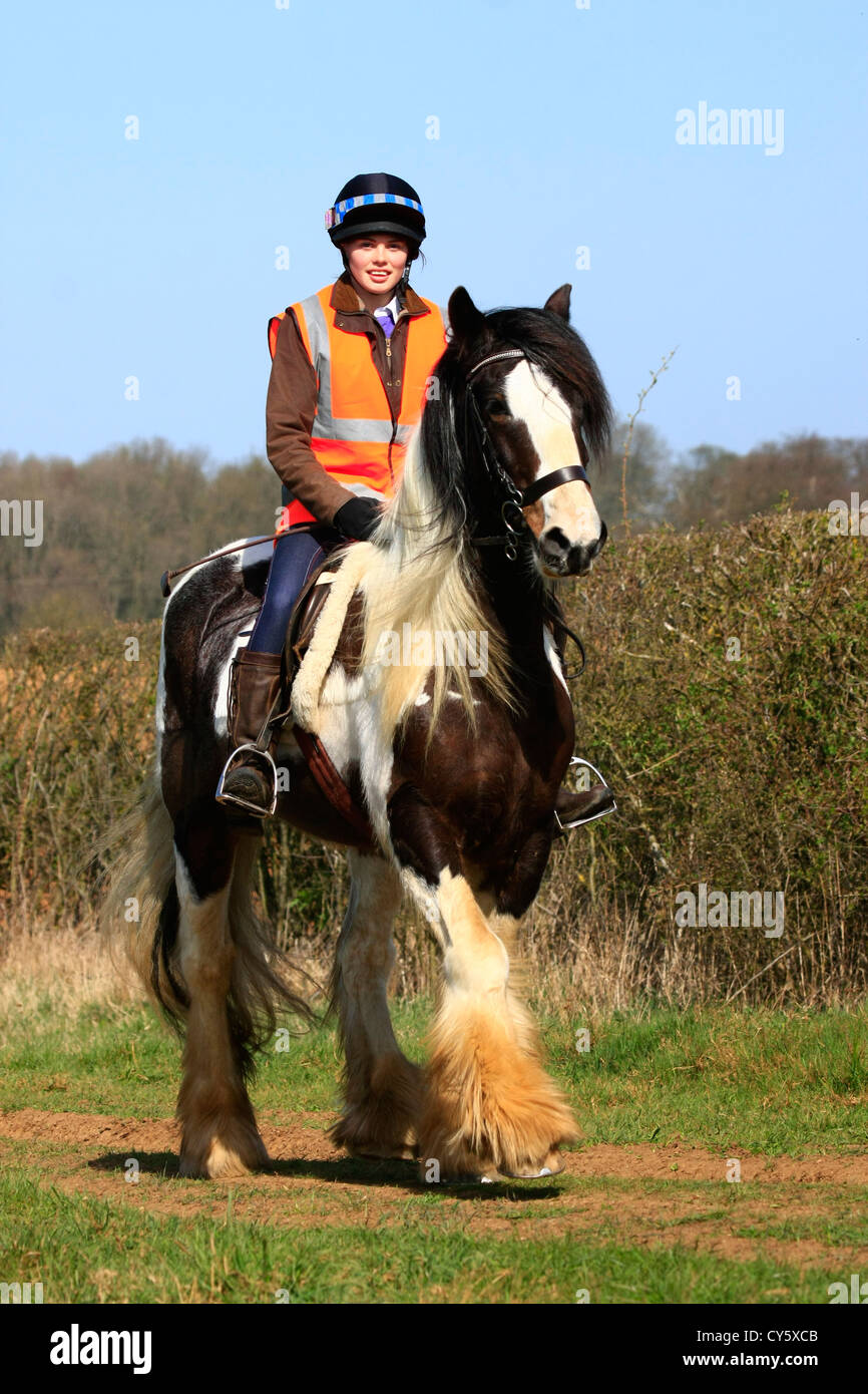 Horse mane animal horsey hi-res stock photography and images - Alamy