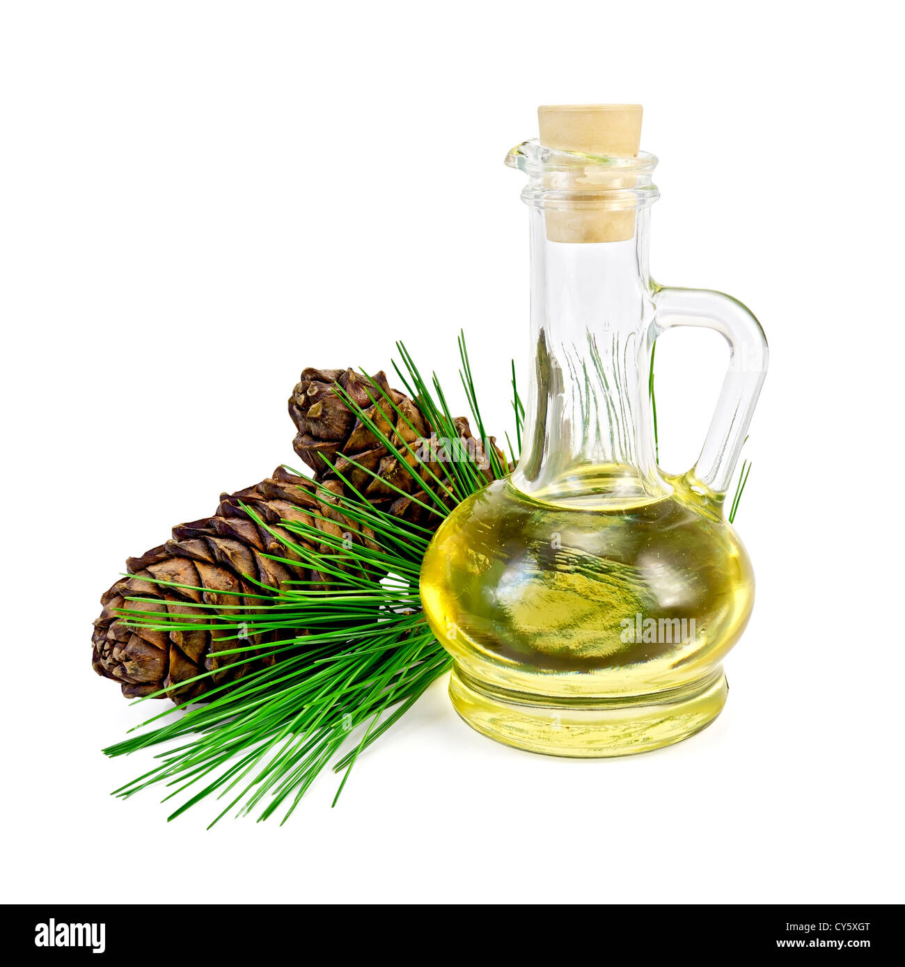 Cedar oil in a glass bottle, a sprig of cedar with two cones isolated ...