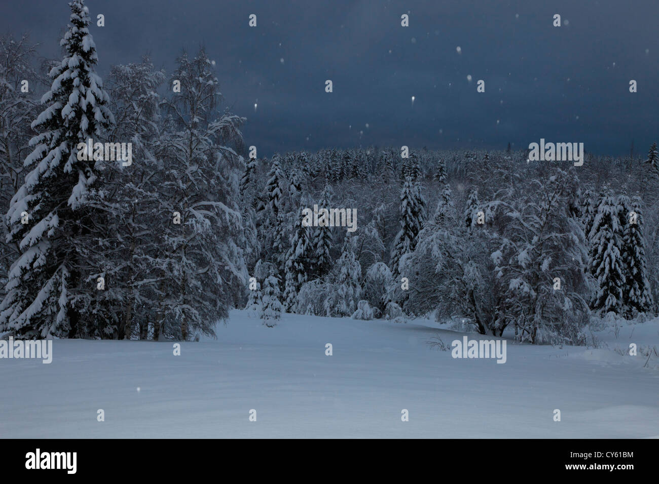 Falling snow in the countryside hi-res stock photography and images - Alamy