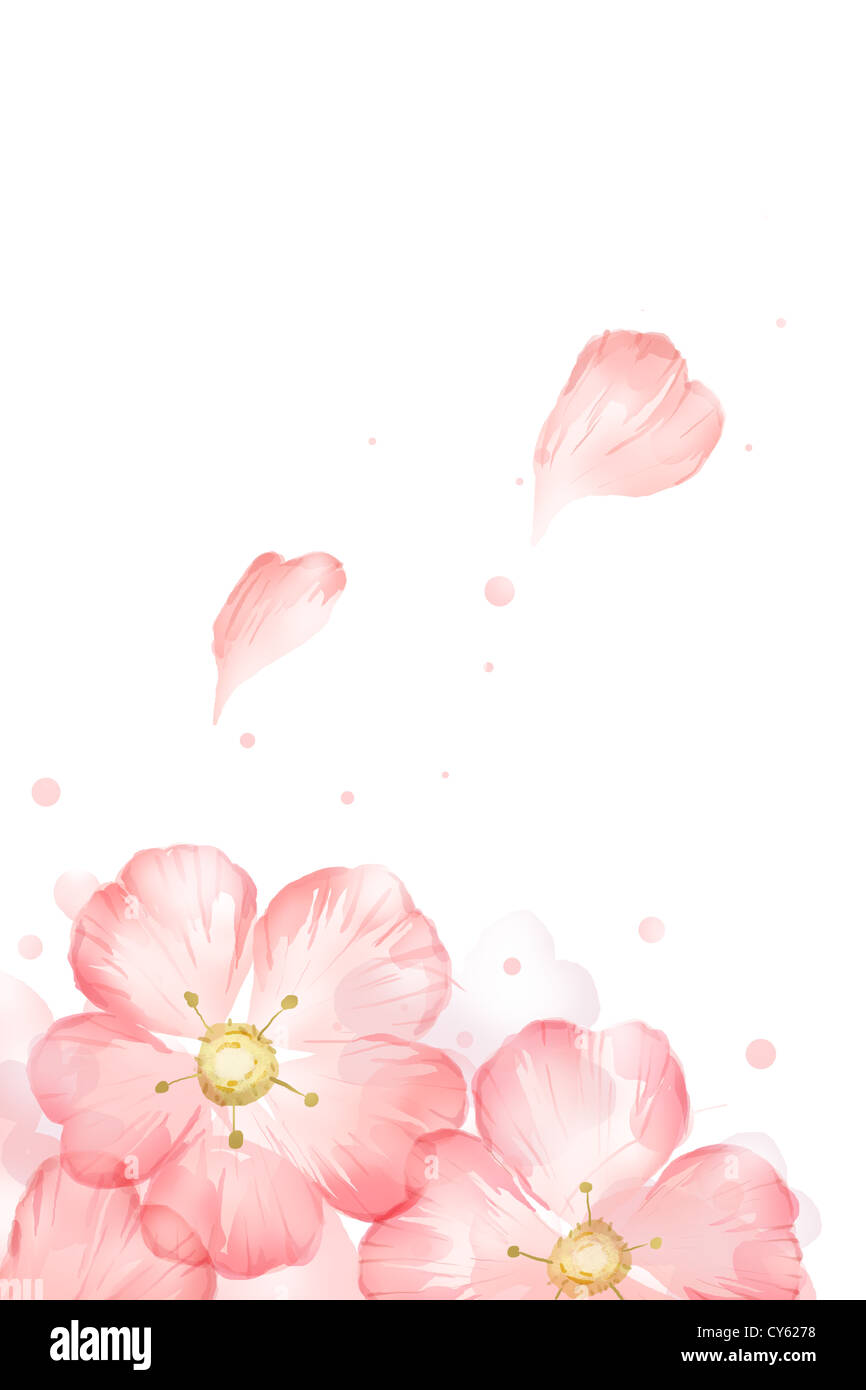 Pink peach flower Stock Photo - Alamy