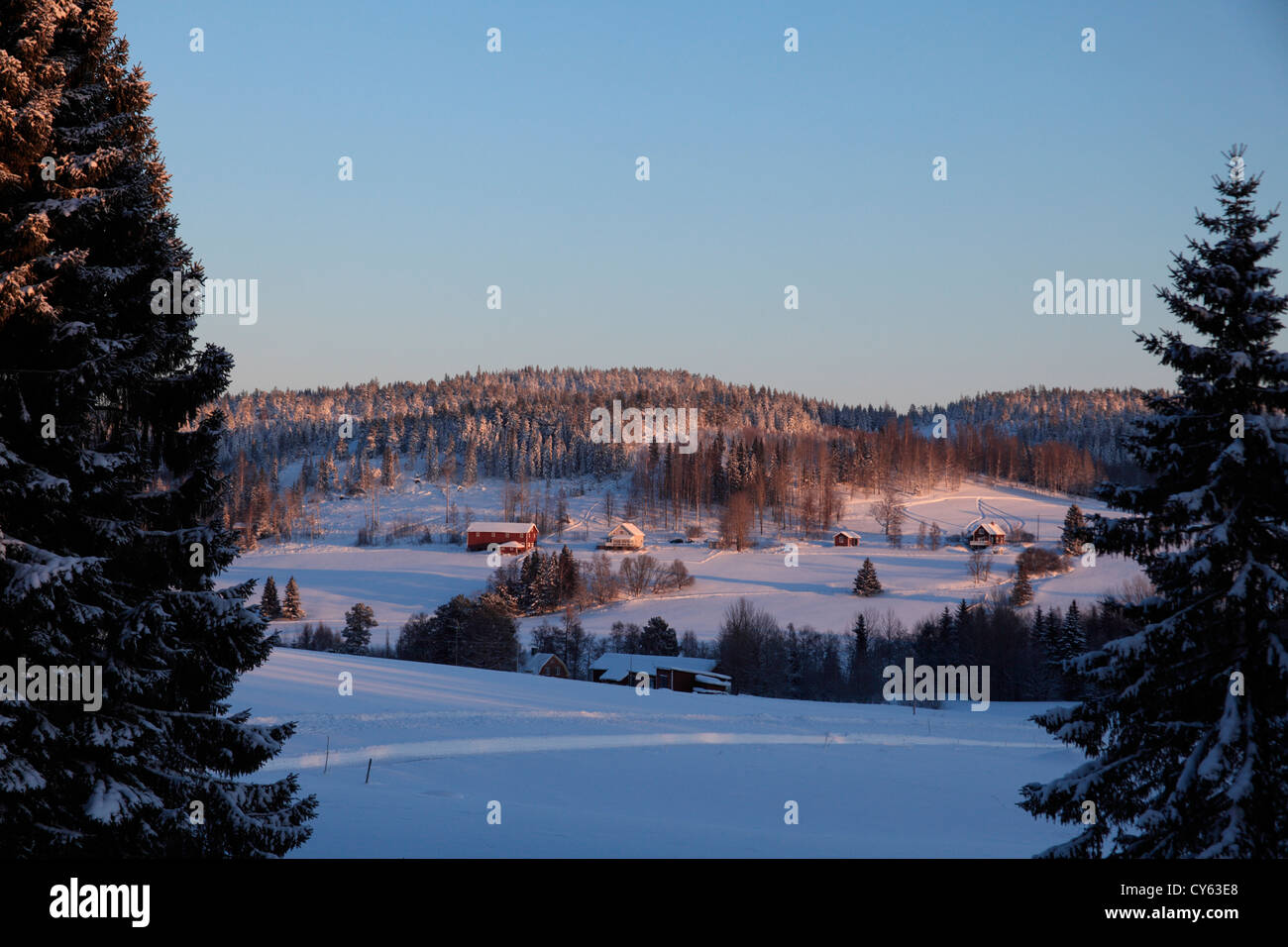 Swedish winter sunset hi-res stock photography and images - Alamy