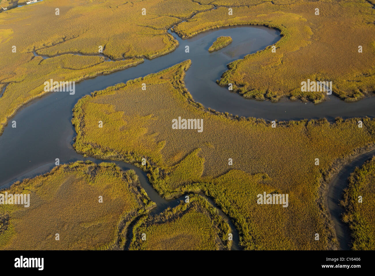 Lowcountry marsh hi-res stock photography and images - Alamy