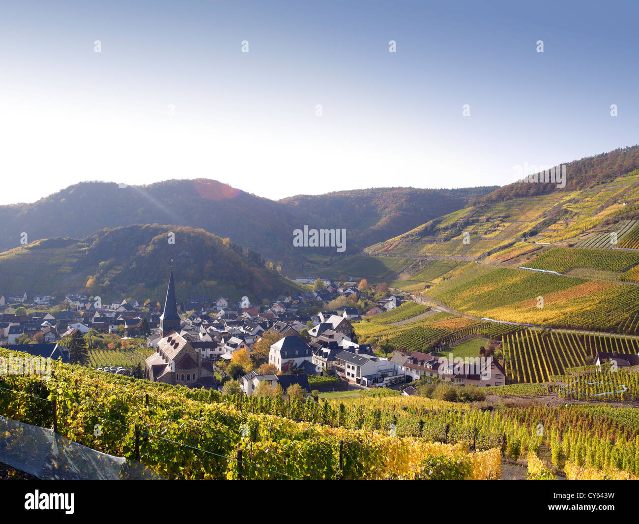 In the vineyards of the romantic village Mayschoß,Ahr valley,Eifel ...