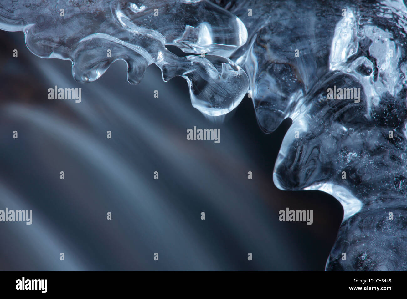 Intricate ice structures are forming on the banks of a forest creek in ...