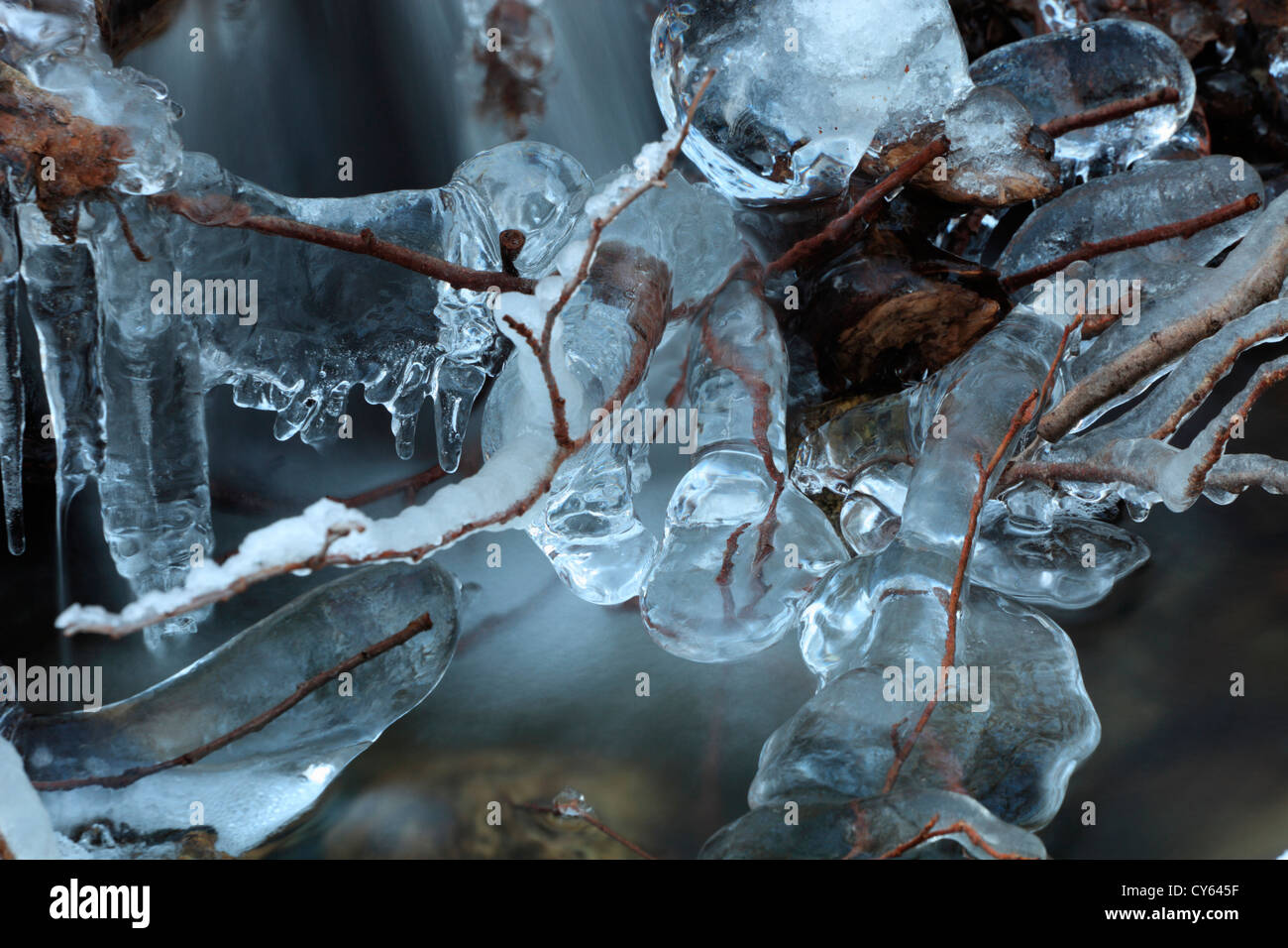 Early leaf forming hi-res stock photography and images - Alamy