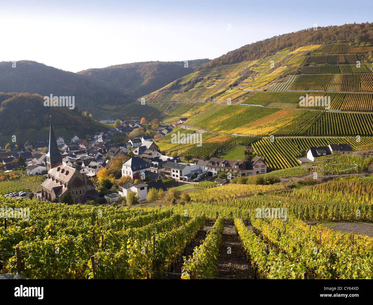 In the vineyards of the romantic village Mayschoß,Ahr valley,Eifel ...