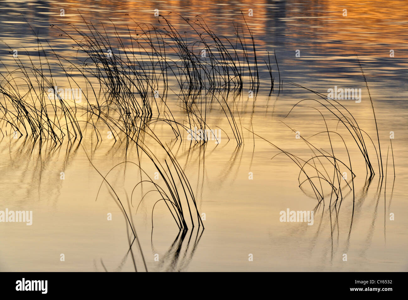 Morning skies reflected in Kagawong Lake, Manitoulin Island- Kagawong ...